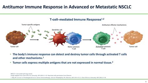 Immunotherapy Advances In Lung Cancer Pptx