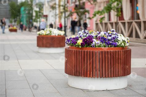 Городская клумба крупным планом Ozero российский фотосток