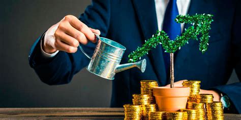 5 Consejos Para Que Su Inversión Sea Exitosa