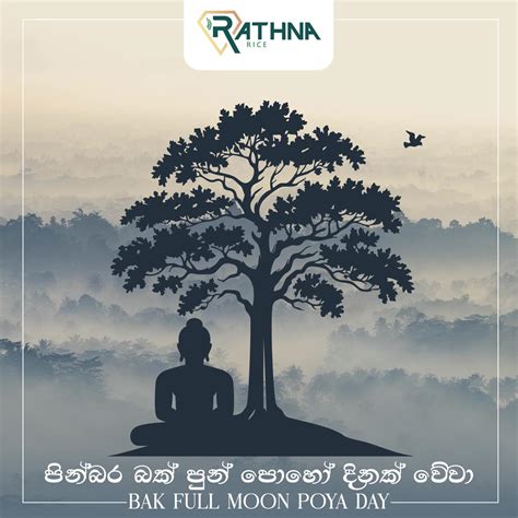 New Rathna Rice Pvt Ltd Added New Rathna Rice Pvt Ltd
