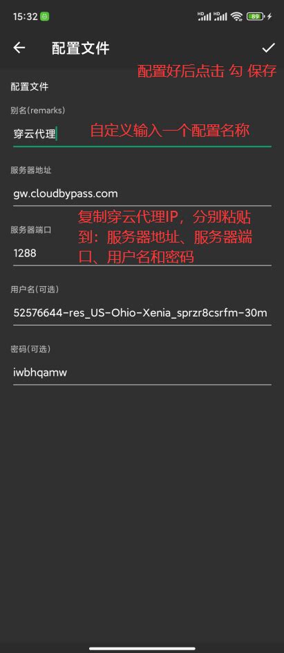 安卓V2RayNG设置使用穿云代理IP 穿云API