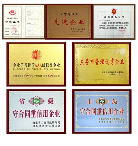 超长里程，还得是双王轮胎 市场渠道 轮胎商业网