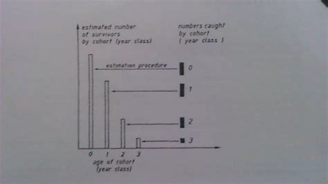 Virtual Population Methods Pptx
