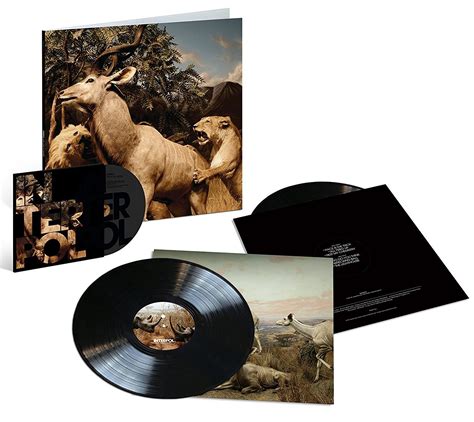 Interpol Our Love To Admire Reissue Superdeluxeedition