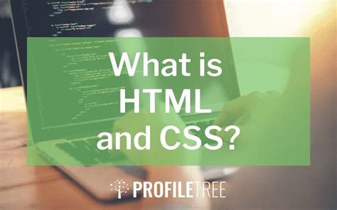 Codesmith Systems On Linkedin What Is Html And Css The Comprehensive Guide