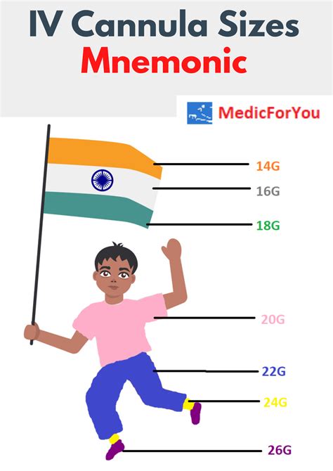 Mnemonic For Foley Catheter Color Coding At Mandy Armenta Blog