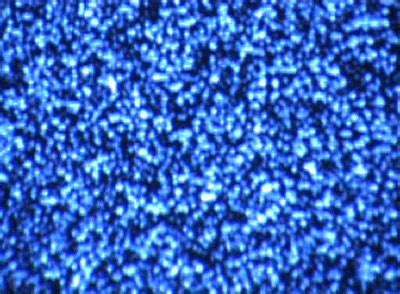 BLCKDGRD The Radio Played Ecstatic Static