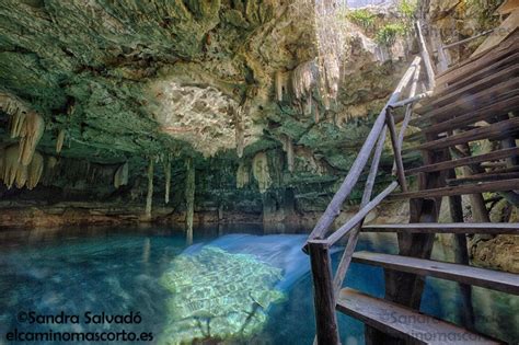 Los 8 Cenotes En Mérida Y Alrededores Que No Puedes Perderte