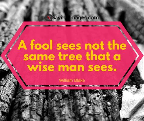 25 Best Tree Quotes Word Porn Quotes Love Quotes Life Quotes Inspirational Quotes