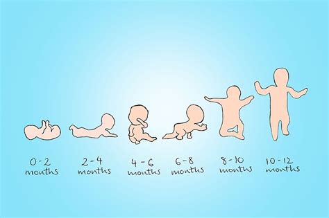 Bioecological Model Of Human Development Educational Learning Theories