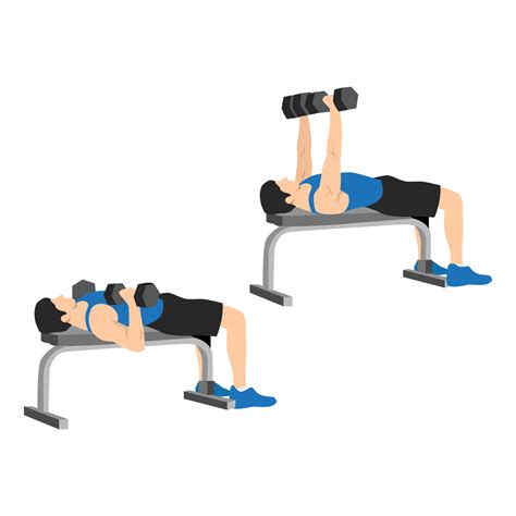 Man Doing Dumbbell Flat Bench Press Chest Exercise Flat Vector