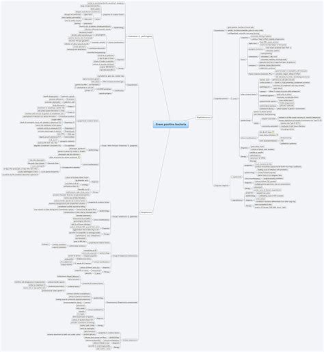 Hepatitis Xmind Mind Mapping Software