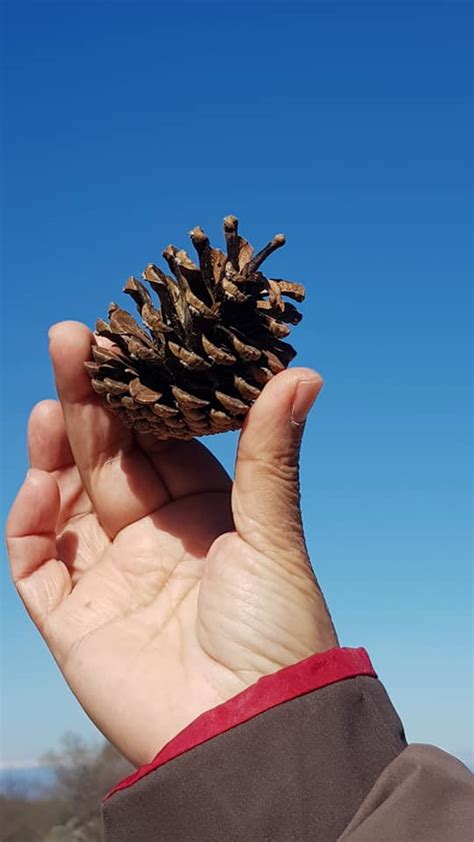 Туристическо дружество Юндола