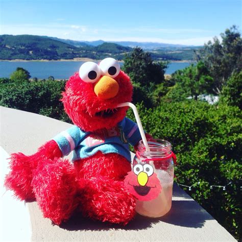 Elmo Gin And Tonic Raspberry Lemonade Raspberry Lemonade Gin And Tonic