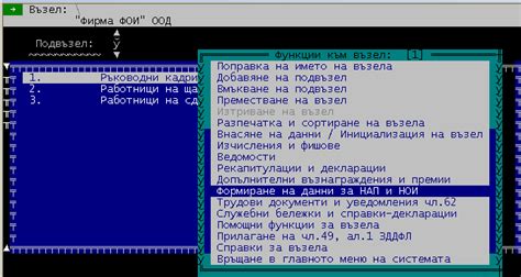 6 3 Декларация образец 6