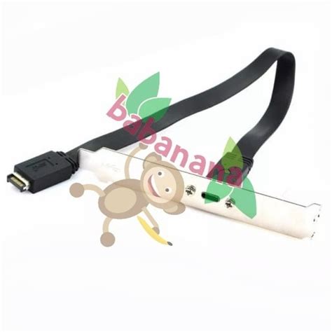 Jual USB Type E To Usb Type C 3 1 Motherboard Cable PCI Adapter Converter Shopee Indonesia