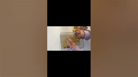 하리보 코하쿠토 1 Youtube