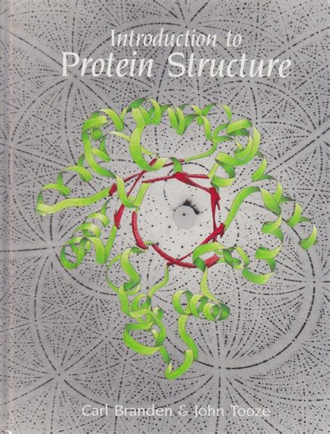 Buy Introduction To Protein Structure Book Online At Low Prices In