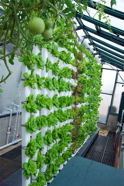 Our 80º Vertical Aquaponics System is all about saving both SPACE WATER
