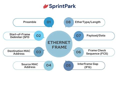 Ethernet Networking Datatransmission Sprintpark