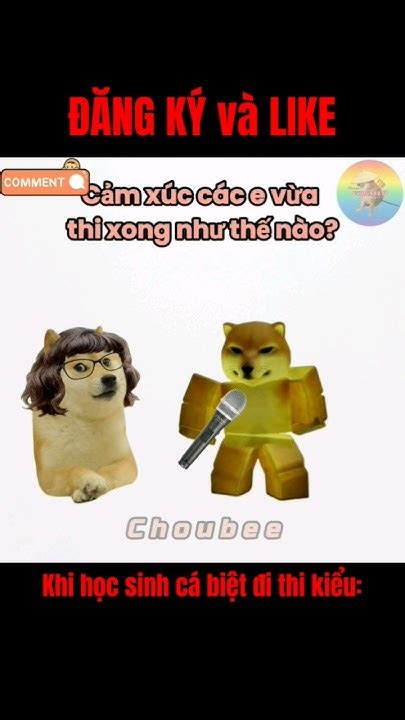 Khi Học Sinh Cá Biệt đi Thi Kiểu Viral Funny Memes Cheems