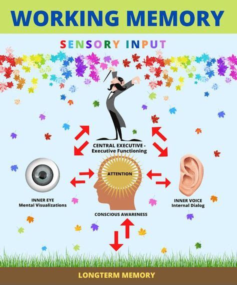 320 Working Memory Ideas Working Memory Multisensory Teachers Learning