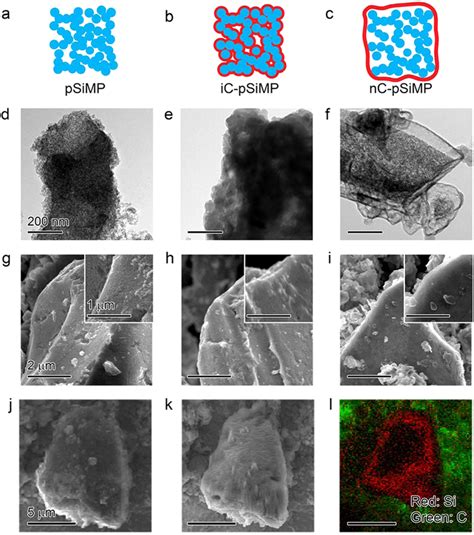 Morphology Characterization Of Psimps With Different Coatings