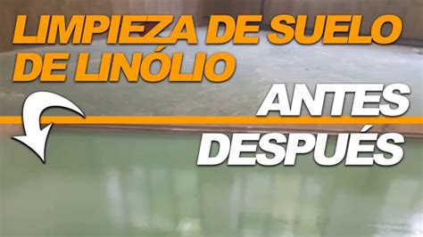Descubre Los Mejores Productos Para Limpiar Linoleo En Tu Hogar