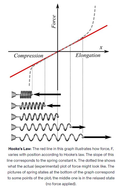 Hookes Law And Elasticity Discover Their 5 Magical Merits