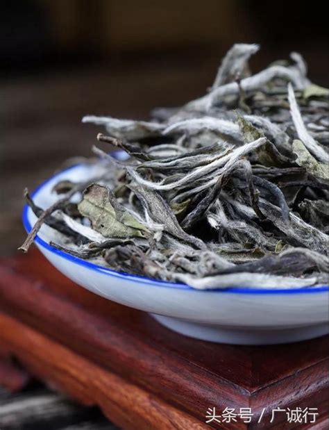 白茶的四大種類你真的分的清嗎 每日頭條