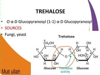 Disaccharides Invert Sugar And Other Pptx