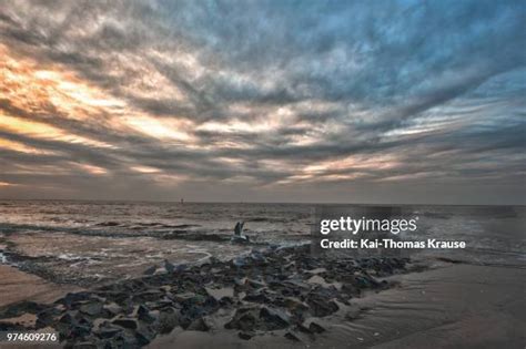 Kai Krause Fotografías E Imágenes De Stock Getty Images