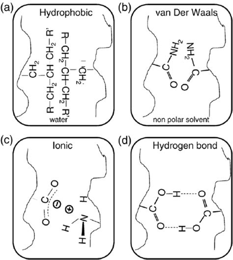 Fundamental Interactions In Polymer Gels A For Polar Solvents