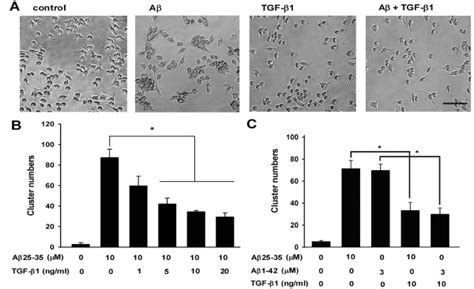 Tgf β1 Attenuated Aβ Induced Microglial Clustering In A Dose Dependent Download Scientific
