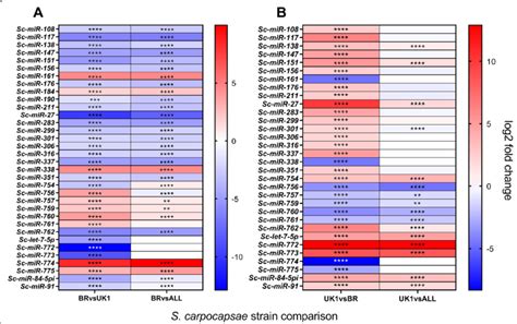 Differential Expression Analysis Of Micrornas That Correlate With S