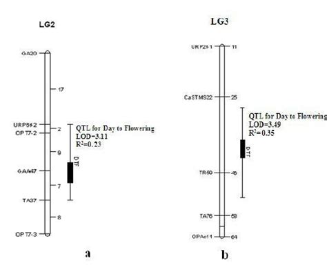 Localization Of Quantitative Trait Loci Qtls For Days To Flowering On