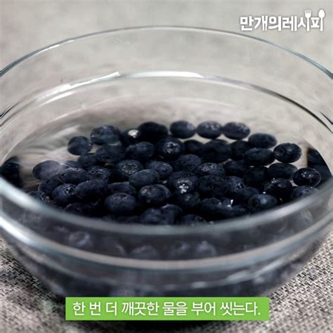 블루베리 보관은 이렇게 블루베리보관법