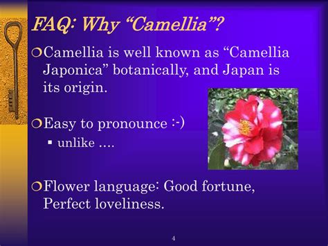 Ppt 128 Bit Block Cipher Camellia Powerpoint Presentation Free