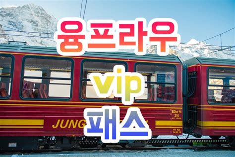 융프라우 Vip패스 총정리 피르스트 멘리헨 쉬니케플라테 하더쿨름 뮈렌 같이 갈 때 네이버 블로그
