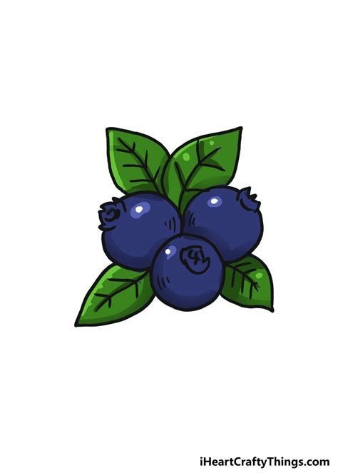 Blueberries Drawing