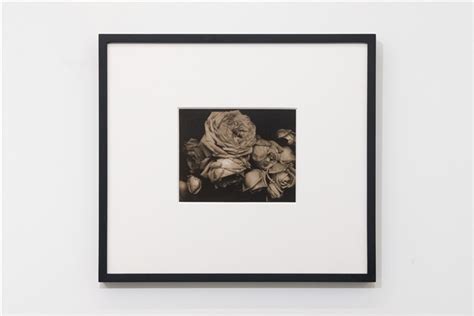 Heavy Roses Voulangis France By Edward Steichen On Artnet