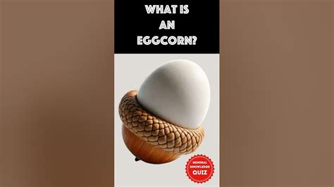 What Is An Eggcorn Vocabulary Quiz Generalknowledge Youtube