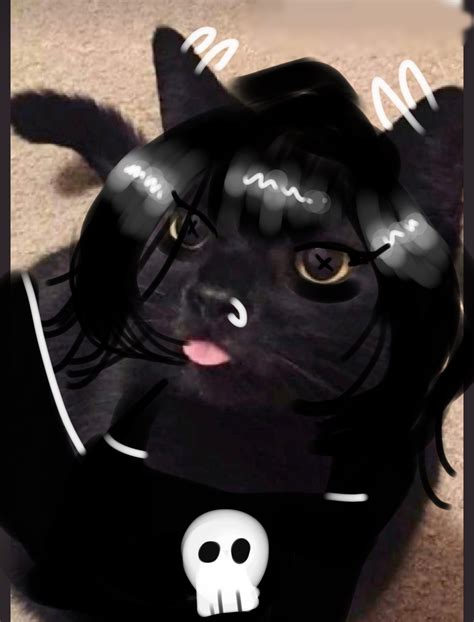 Emo Cat Fandom