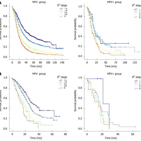Survival Functions Of Different American Joint Committee On Cancer