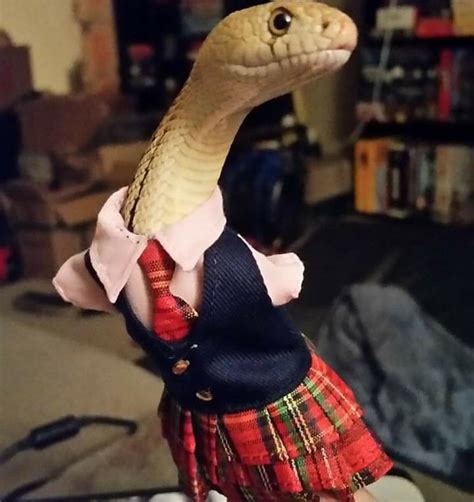 This Girl Is Ready For School Rsnek