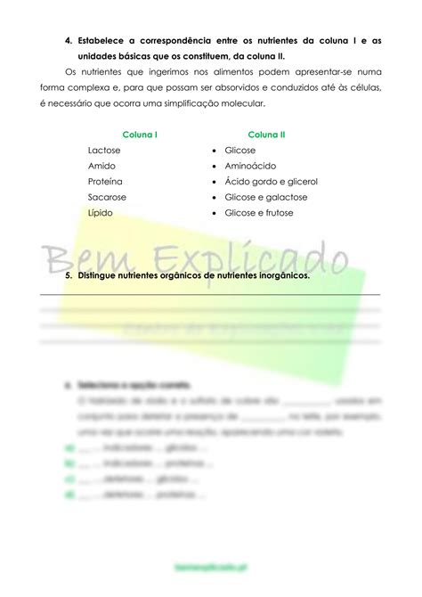 SOLUTION B 1 2 Ficha De Trabalho Alimenta O Saud Vel 1 Studypool