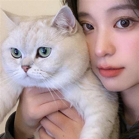 抱猫女头 堆糖，美图壁纸兴趣社区