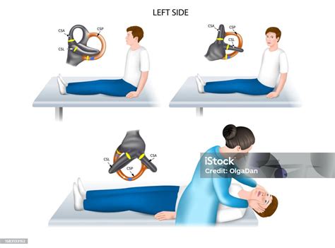 Dixhallpike Test Left Stock Illustration Download Image Now Head