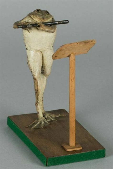 20 Funny Examples Of Taxidermy Gone Horrifically Wrong Demilked