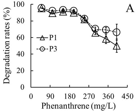 Degradation Of Different Concentrations Of Phe By The Two Bacterial